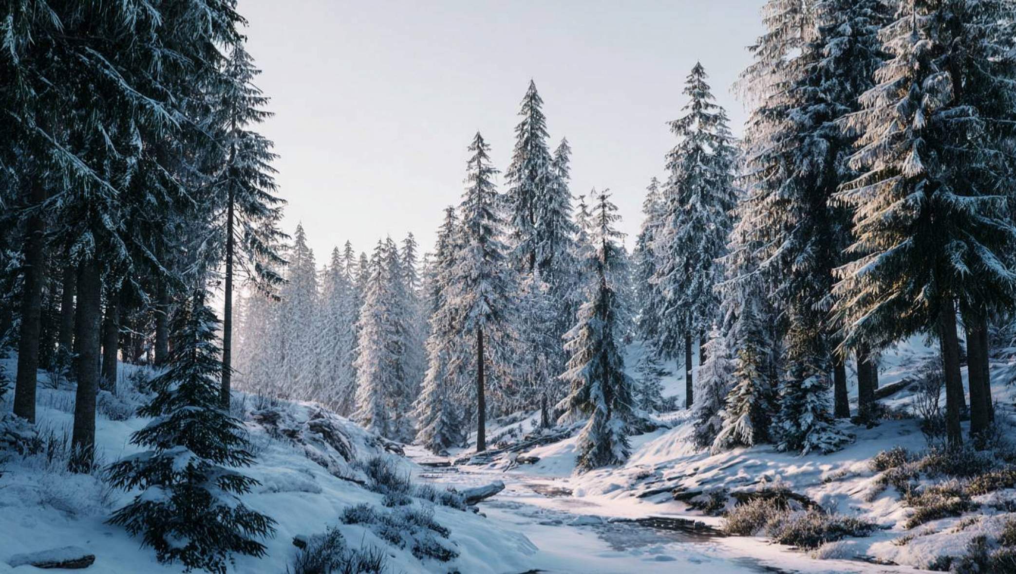 Квест «Загадки зимы» в экоцентре «Экошкола Кусково», отзывы, расписание ...